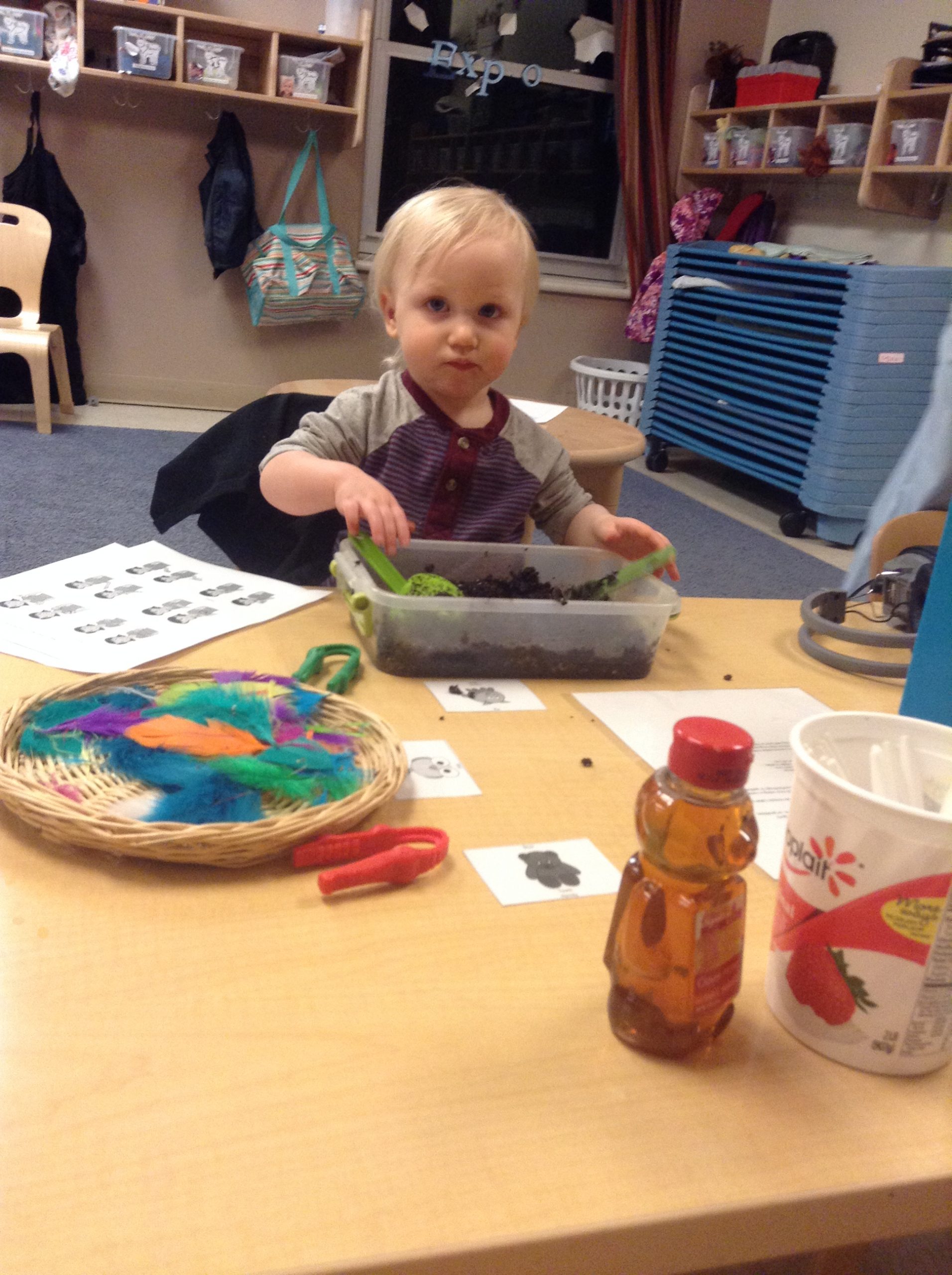 Child and Adult Care Food Program | Basic Beginnings